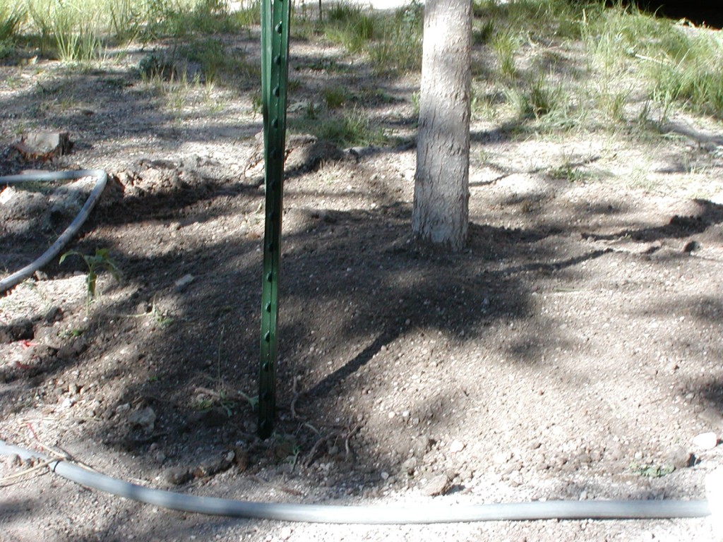FAQ - Heidrich's Colorado Tree Farm Nursery