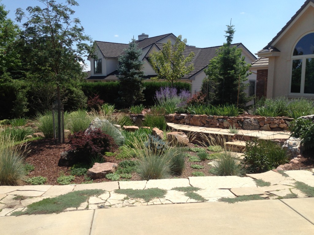 FAQ - Heidrich's Colorado Tree Farm Nursery