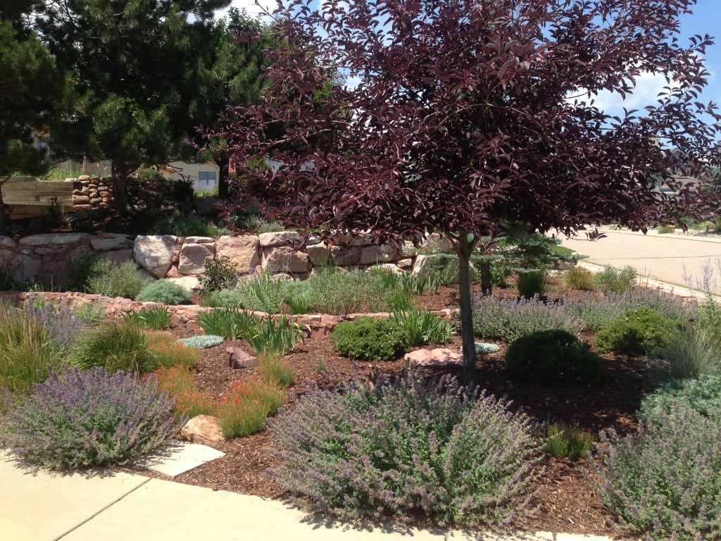 FAQ - Heidrich's Colorado Tree Farm Nursery