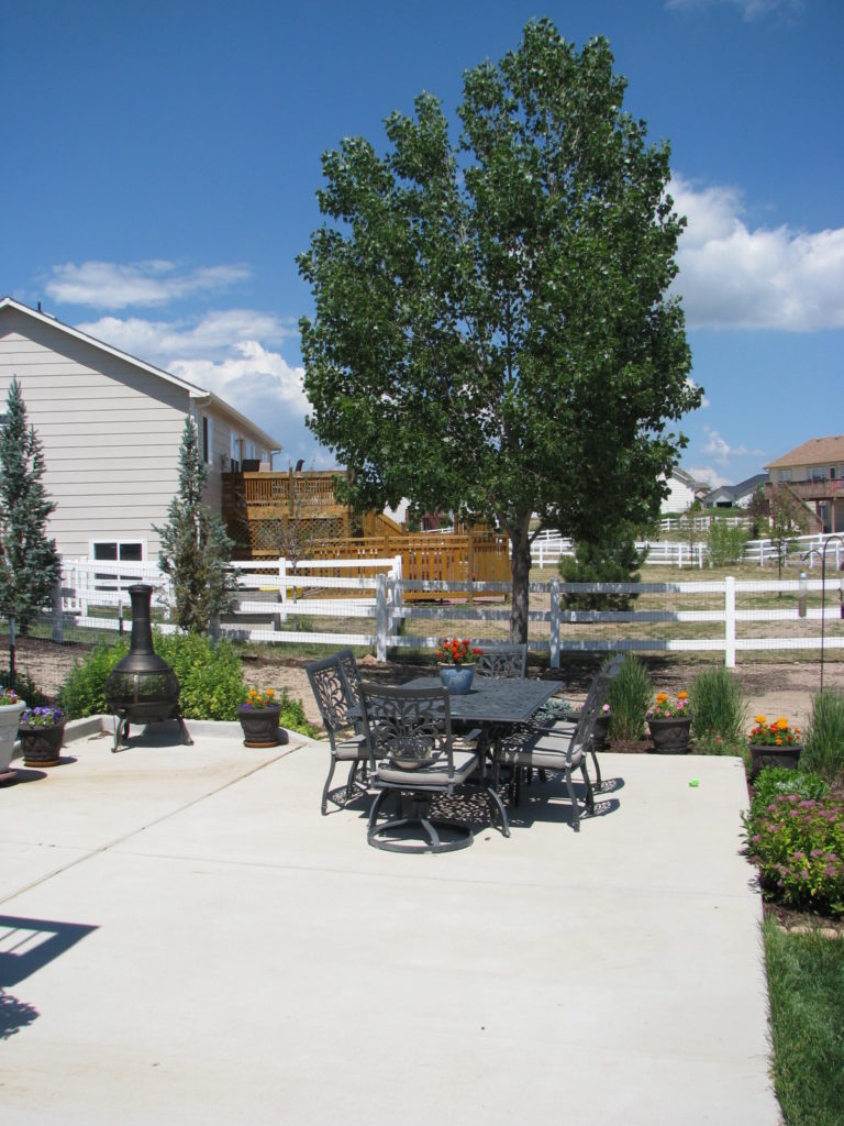 - Heidrich's Colorado Tree Farm Nursery