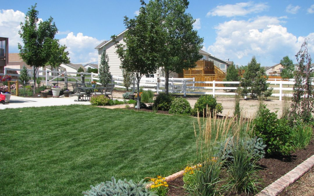 - Heidrich's Colorado Tree Farm Nursery
